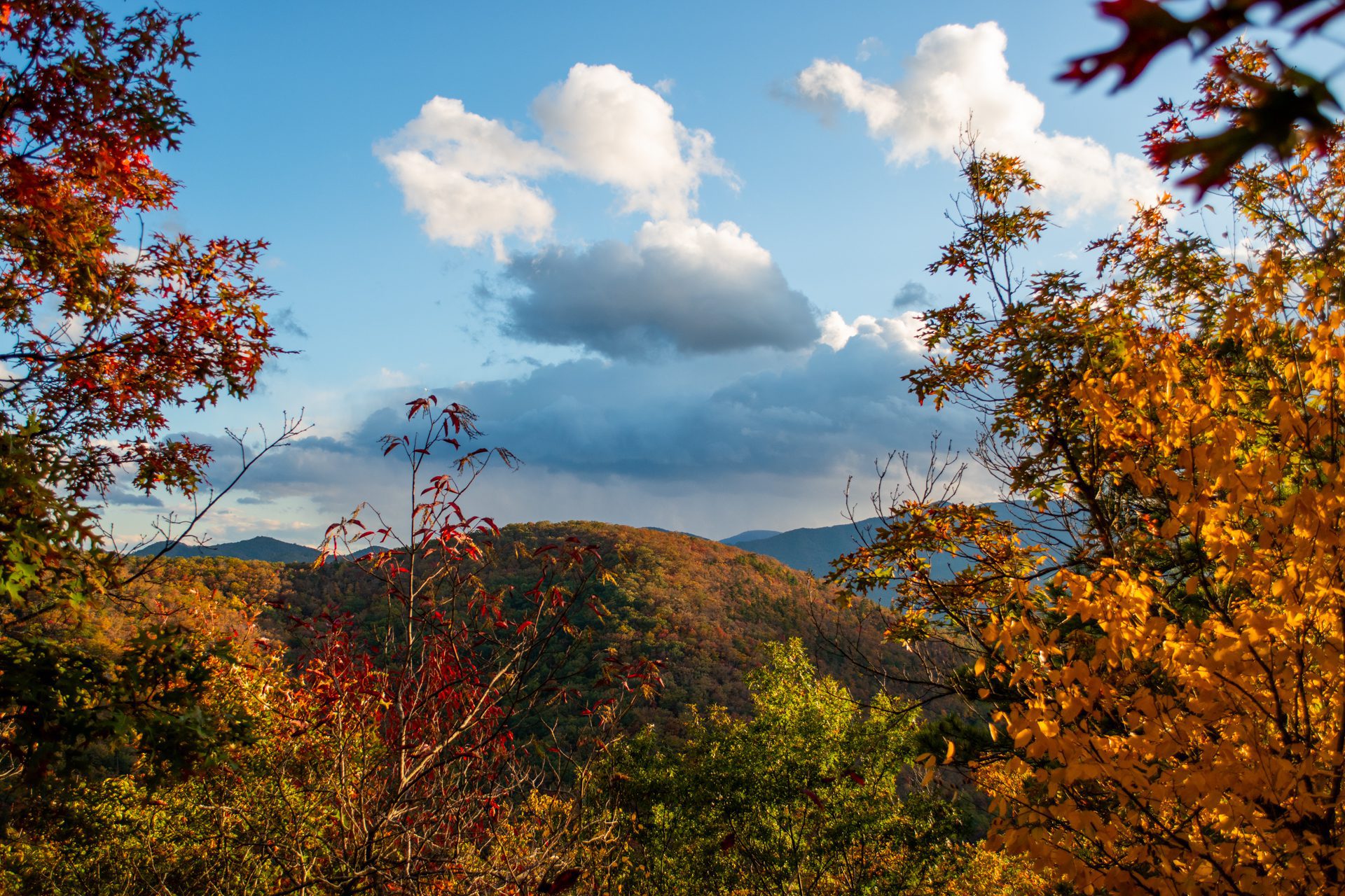 Montreat Conference Center
