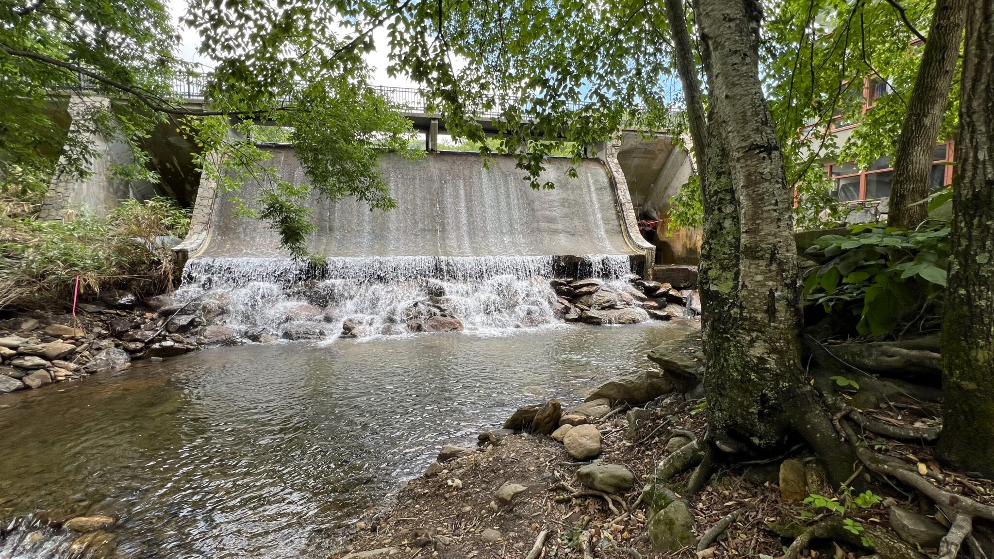 Montreat Conference Center